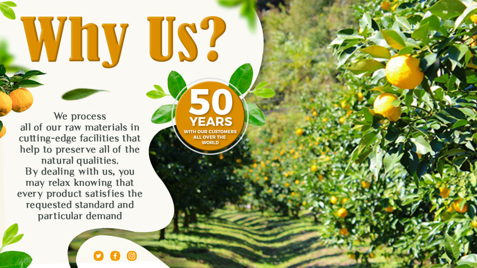 Yuzu Farm Visit - Yuzu Farms and Plants tour Japan - Shikoku and Kyushu