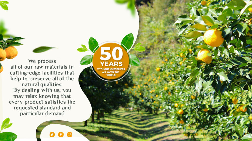About Certified Organic Japanese Yuzu Citrus