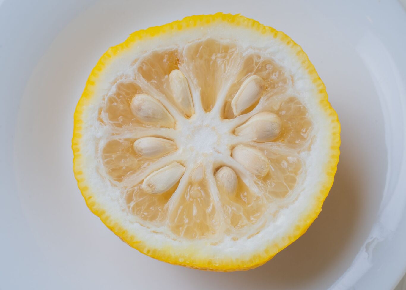 Buy Premium Japanese Yuzu Citrus Online