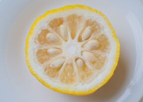 Buy Premium Japanese Yuzu Citrus Online